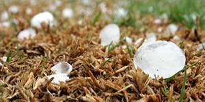 Come documentare quanto e dove ha grandinato? — Arpae Emilia-Romagna