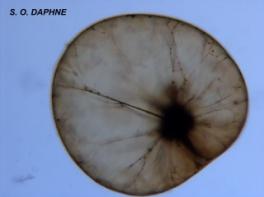 L'evento meteo-idrogeologico del 1-4 maggio — Arpae Emilia-Romagna