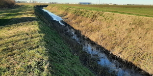 Inquinamento fiume Reno, aggiornamenti — Arpae Emilia-Romagna