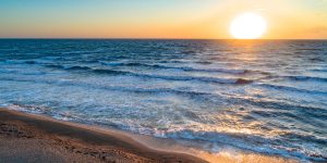 Strategia Marina, il monitoraggio dei mari italiani — Arpae Emilia-Romagna